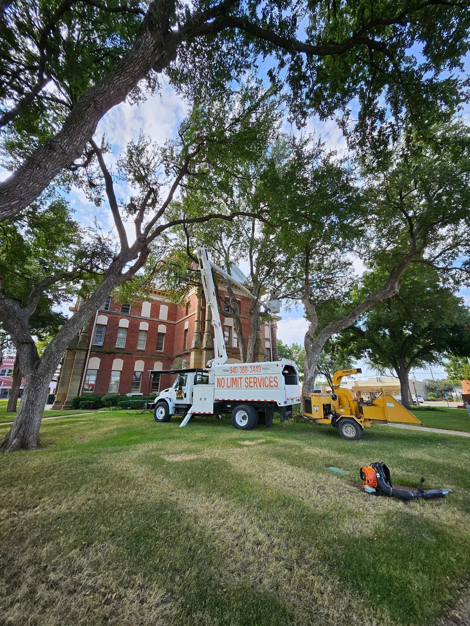 Professional Tree Services - No Limit Services