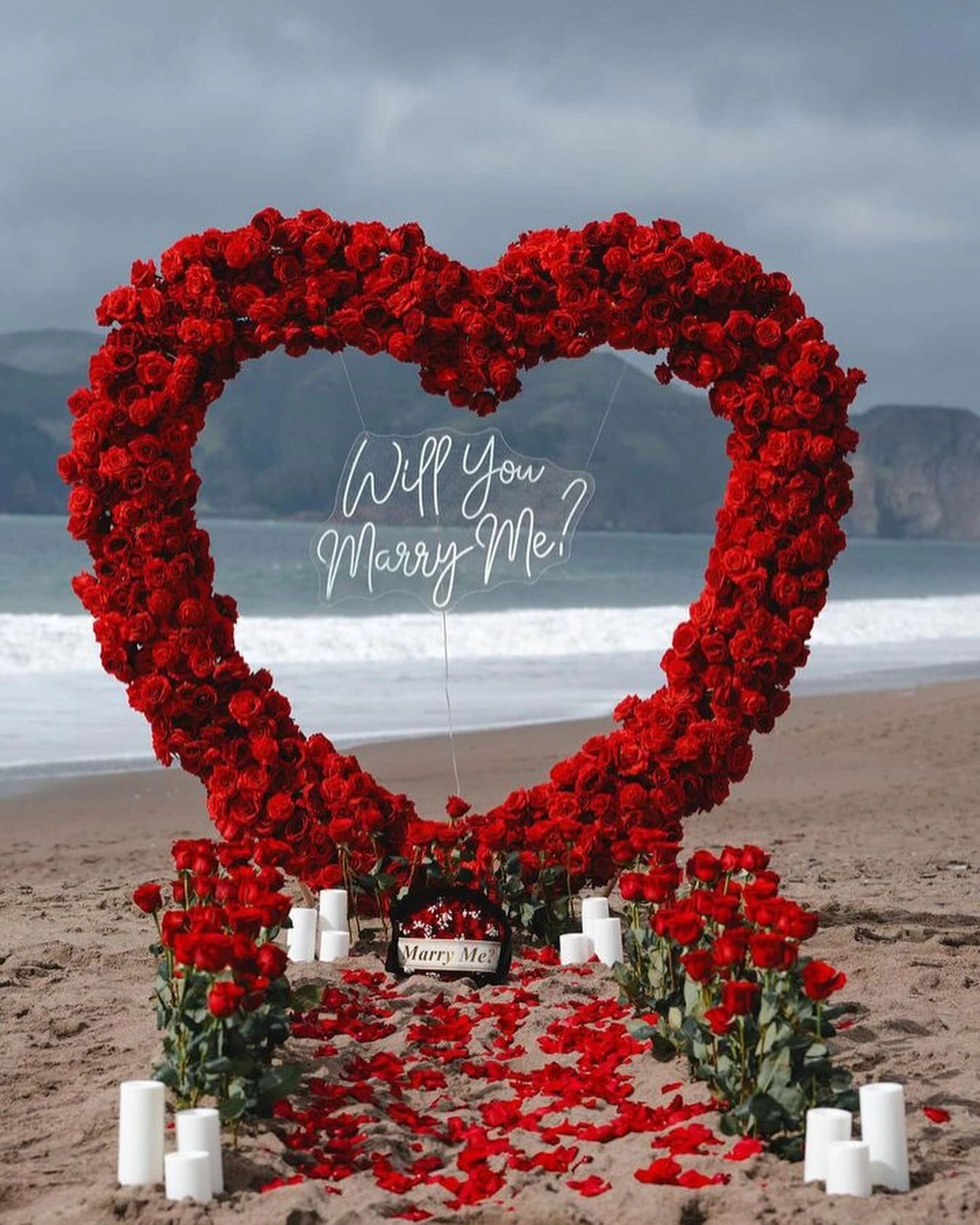 Lovely Proposals - San Francisco Bay Area Proposals