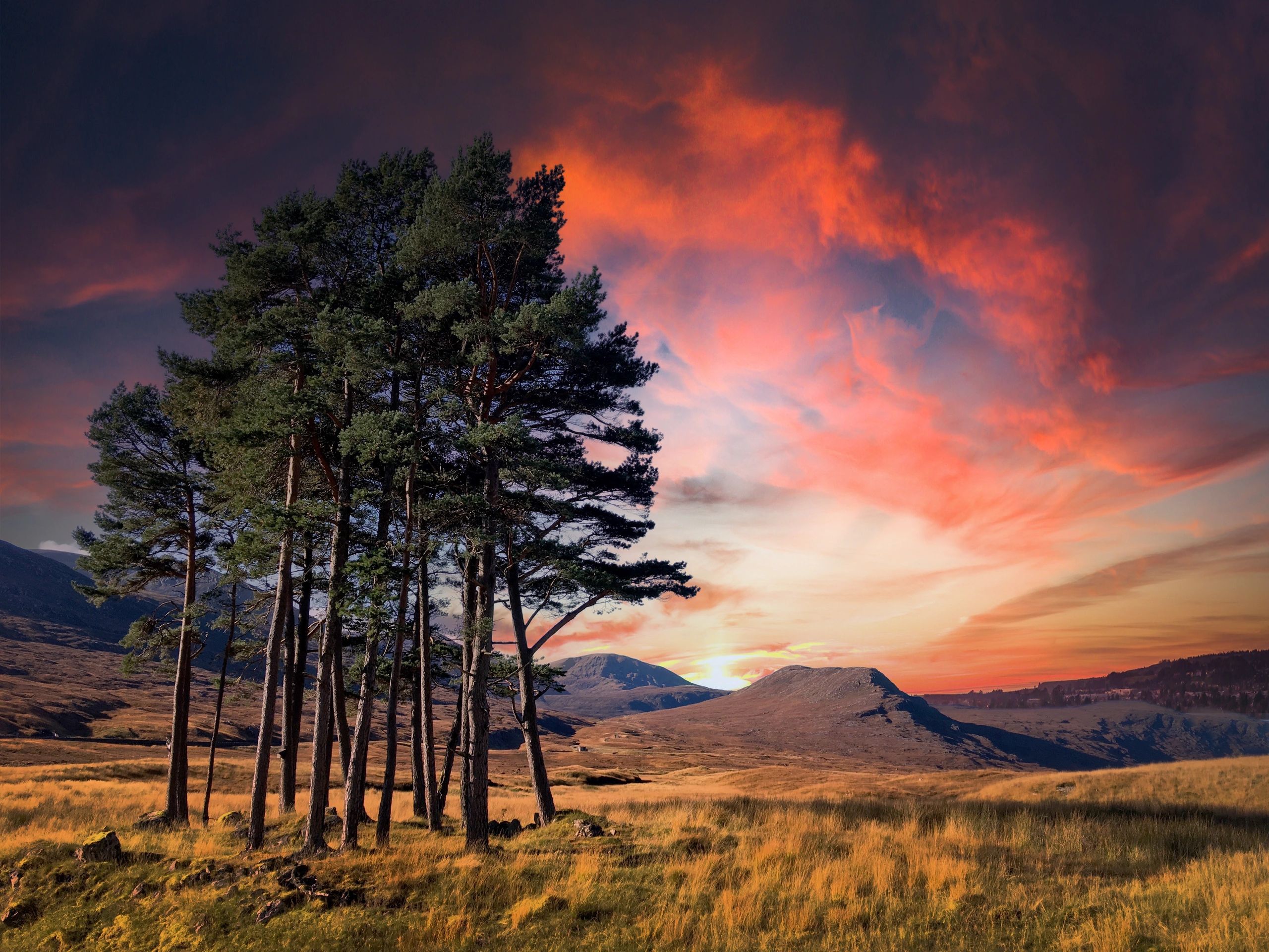 Myles Clegg Photography