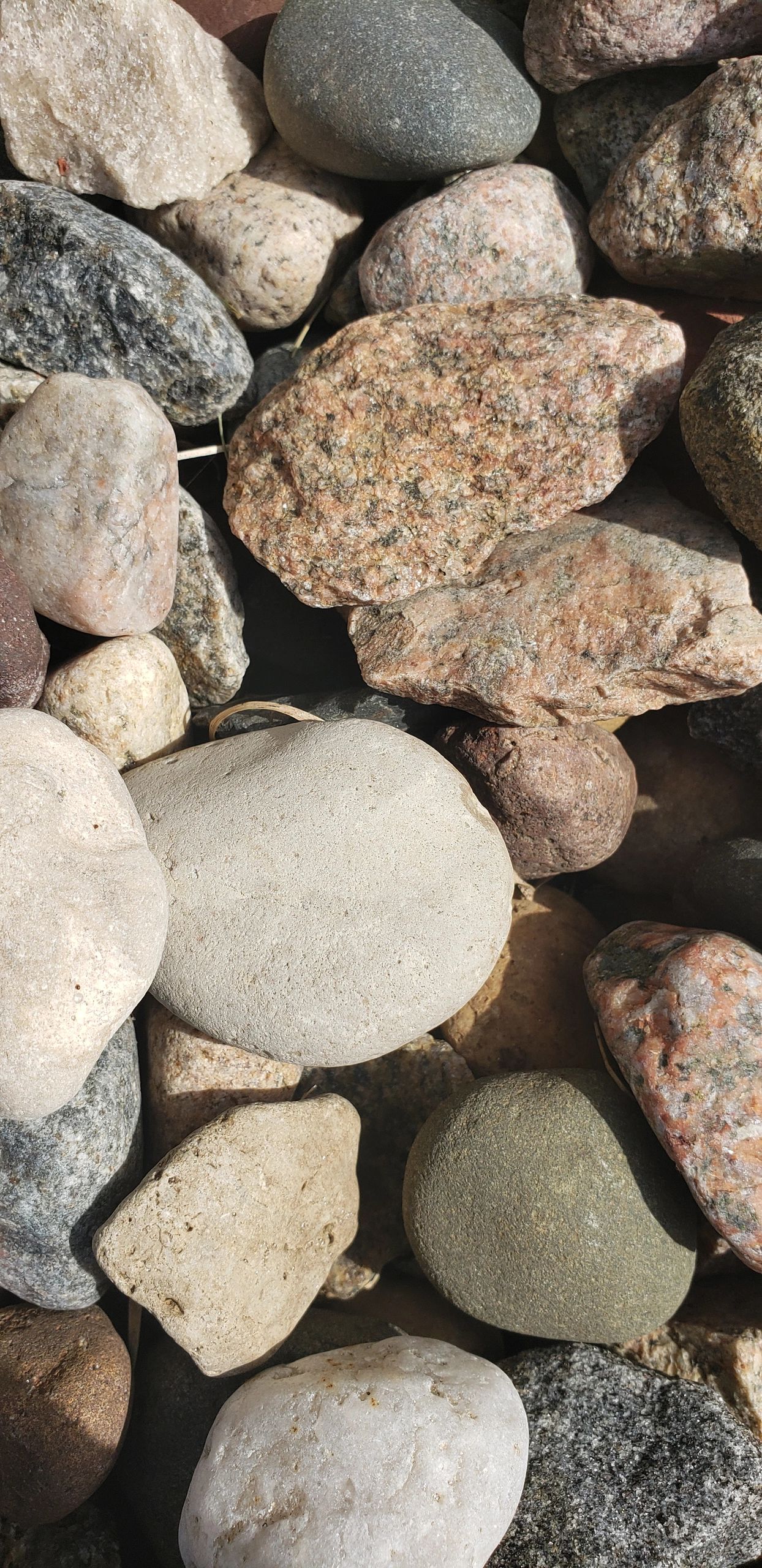 Beauty: Variety in the World