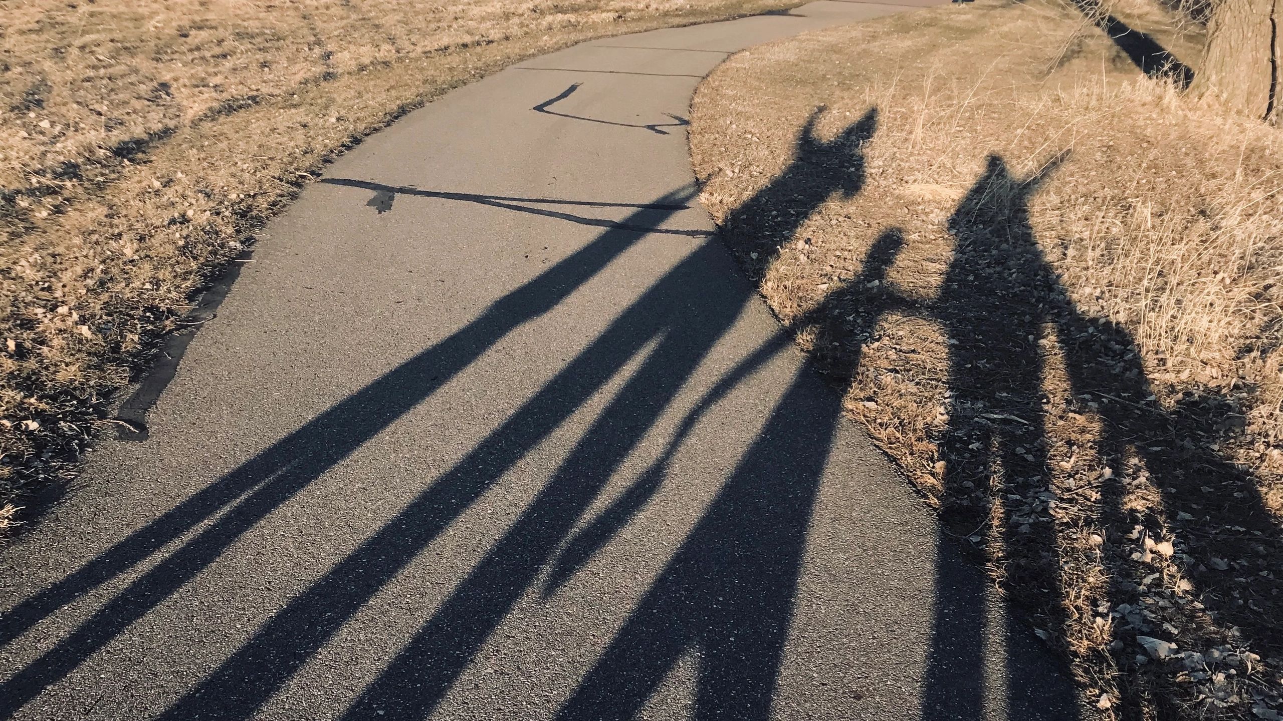 Substance Abuse Tools