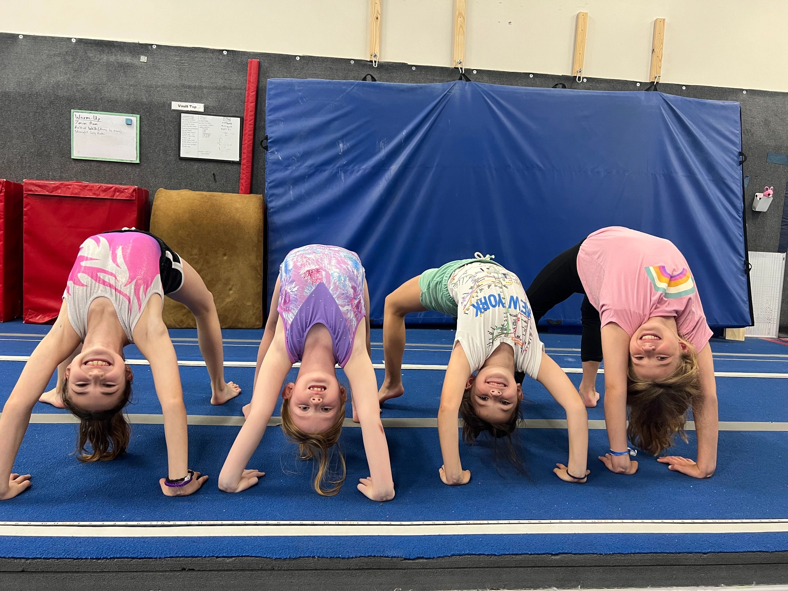 Dulles Gymnastics Academy