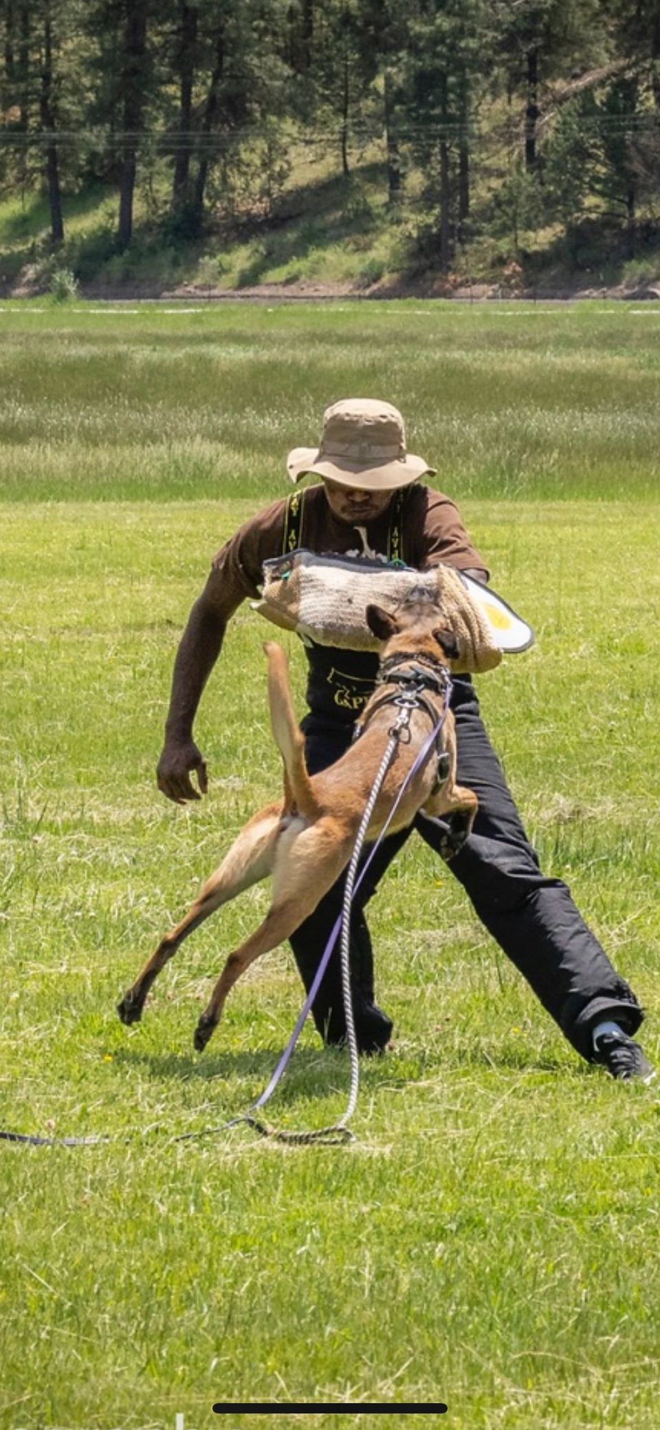 home [eastvalleyworkingdogclub.com]