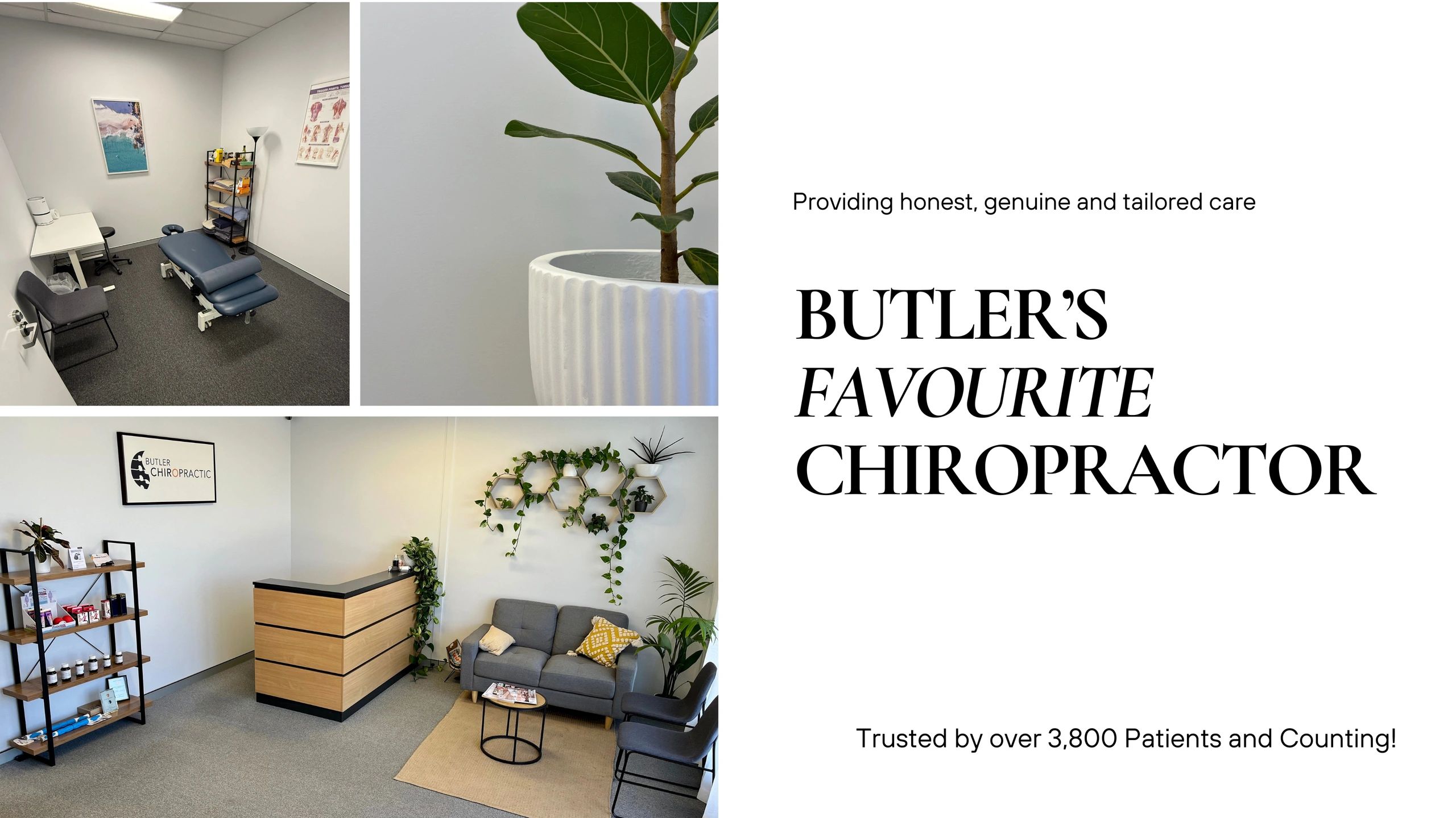 Butler Chiropractic
