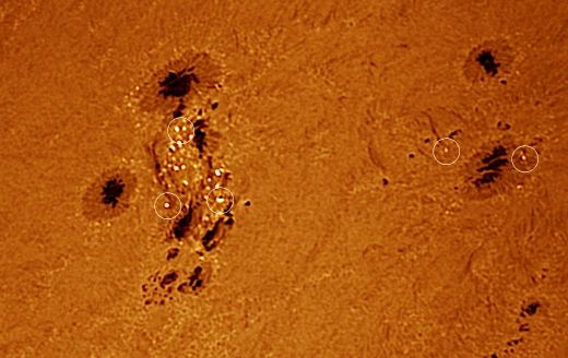 Ellerman Bombs on the Sun