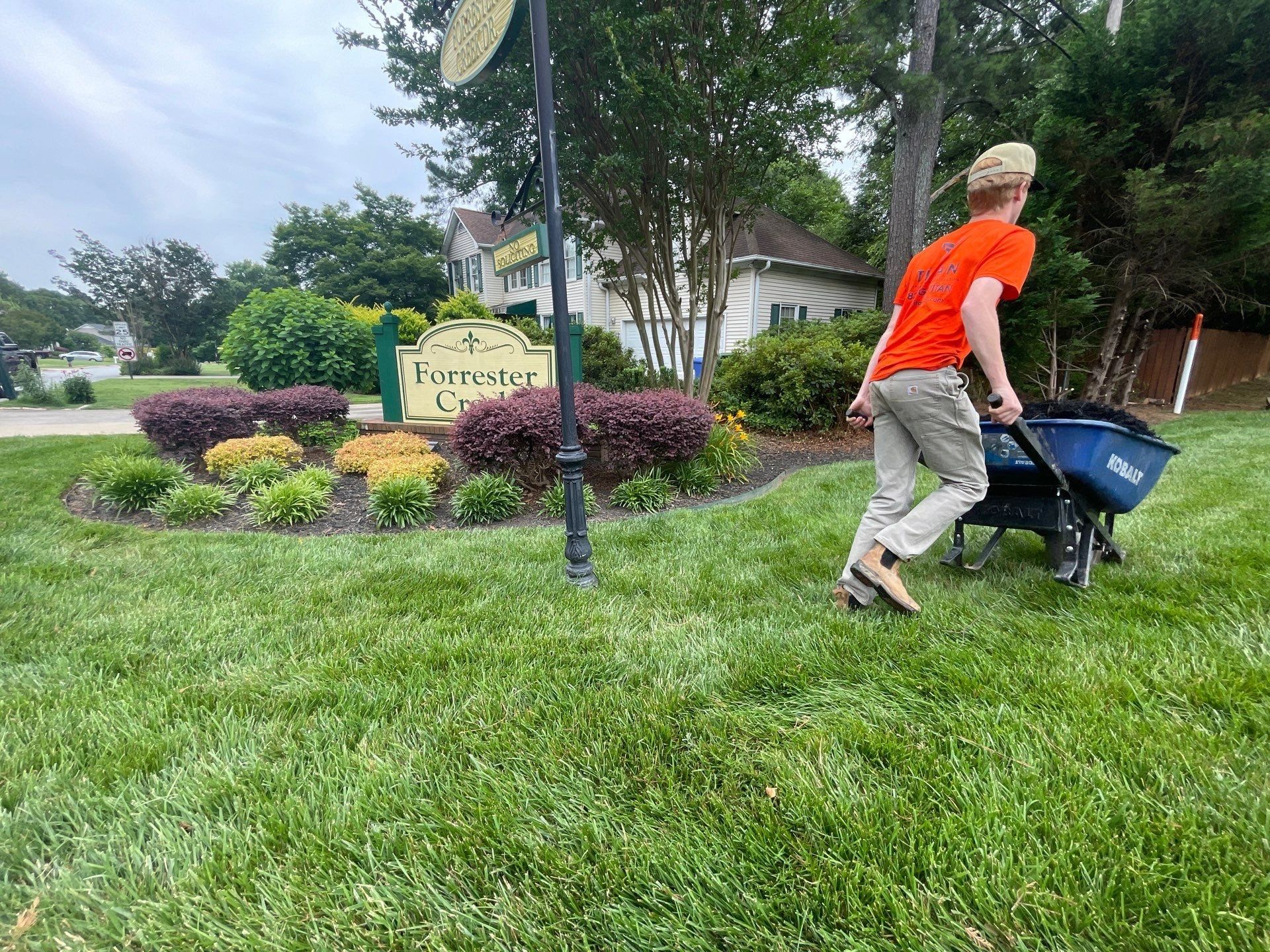 My Titan Services Landscaping, Lawn Care, and More!