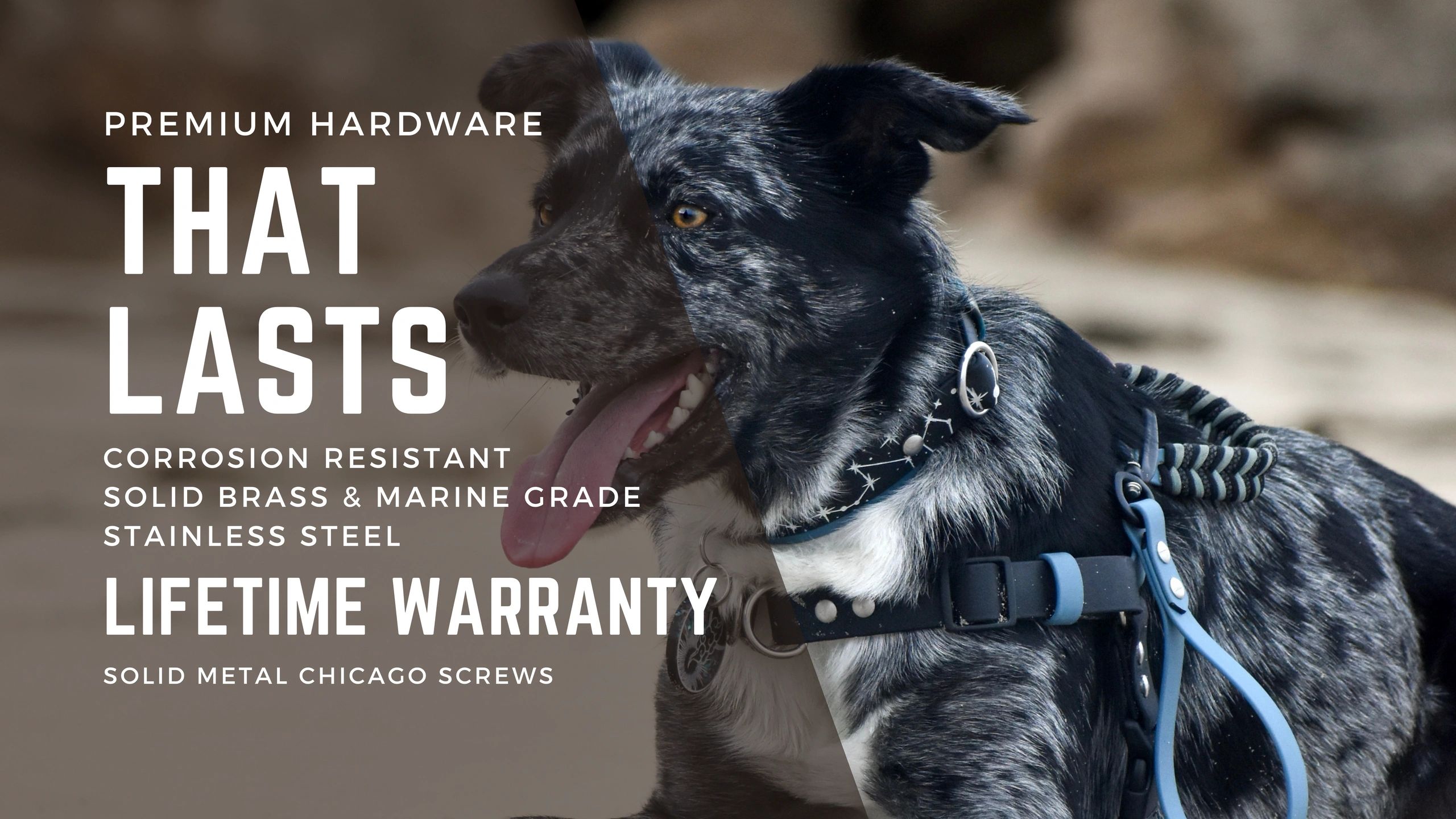 Coastal Collars - online