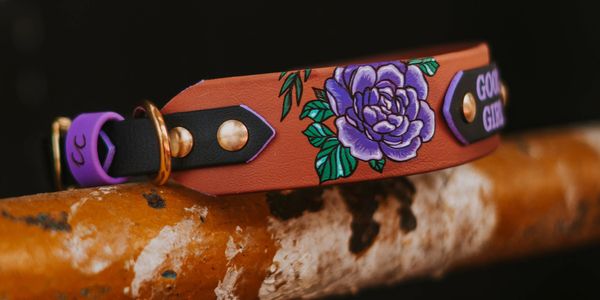 Coastal Collars - Dog Collars, Dog Collars, Pet Store, Dog Leashes