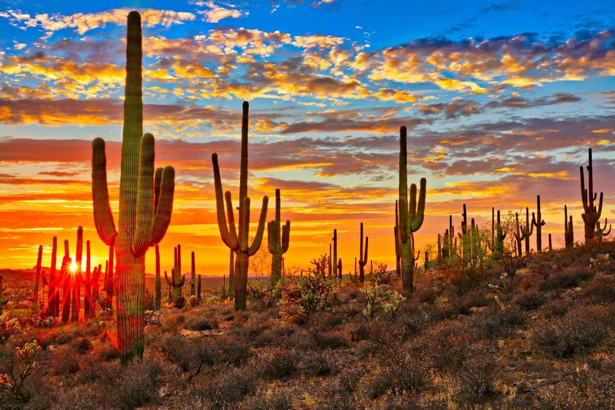 ARIZONA SITE SELECTION
