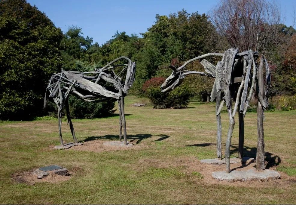 History of Bruce Park