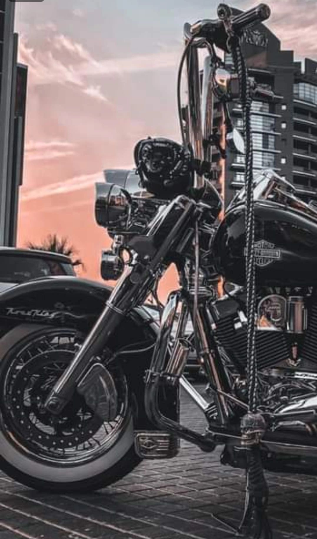 Redneckside Motorcycle Whips - Ohio Motorcycle Whips, Custom Motorcycle ...