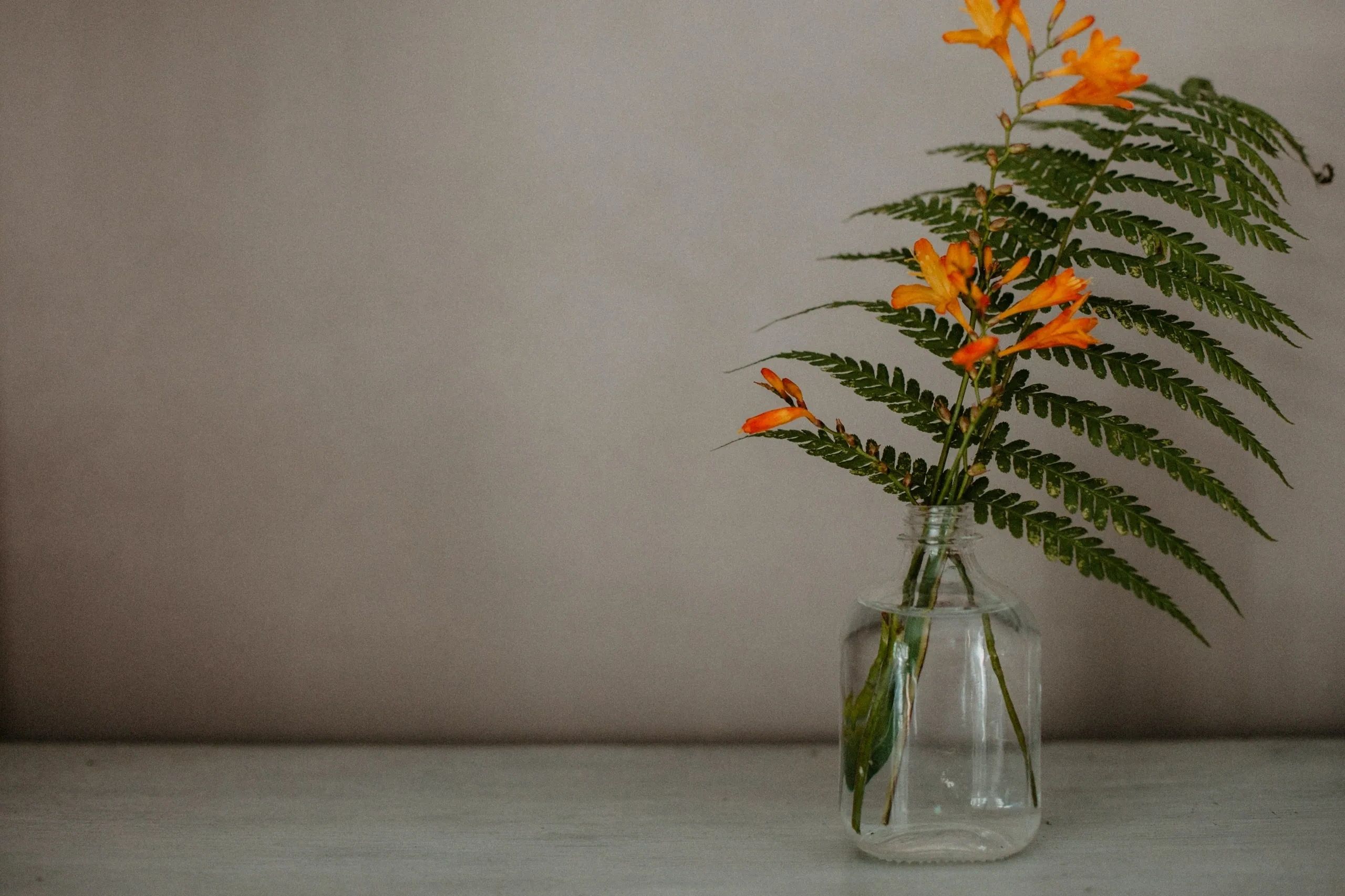 Junaina Pirbhai | Therapy and Coaching