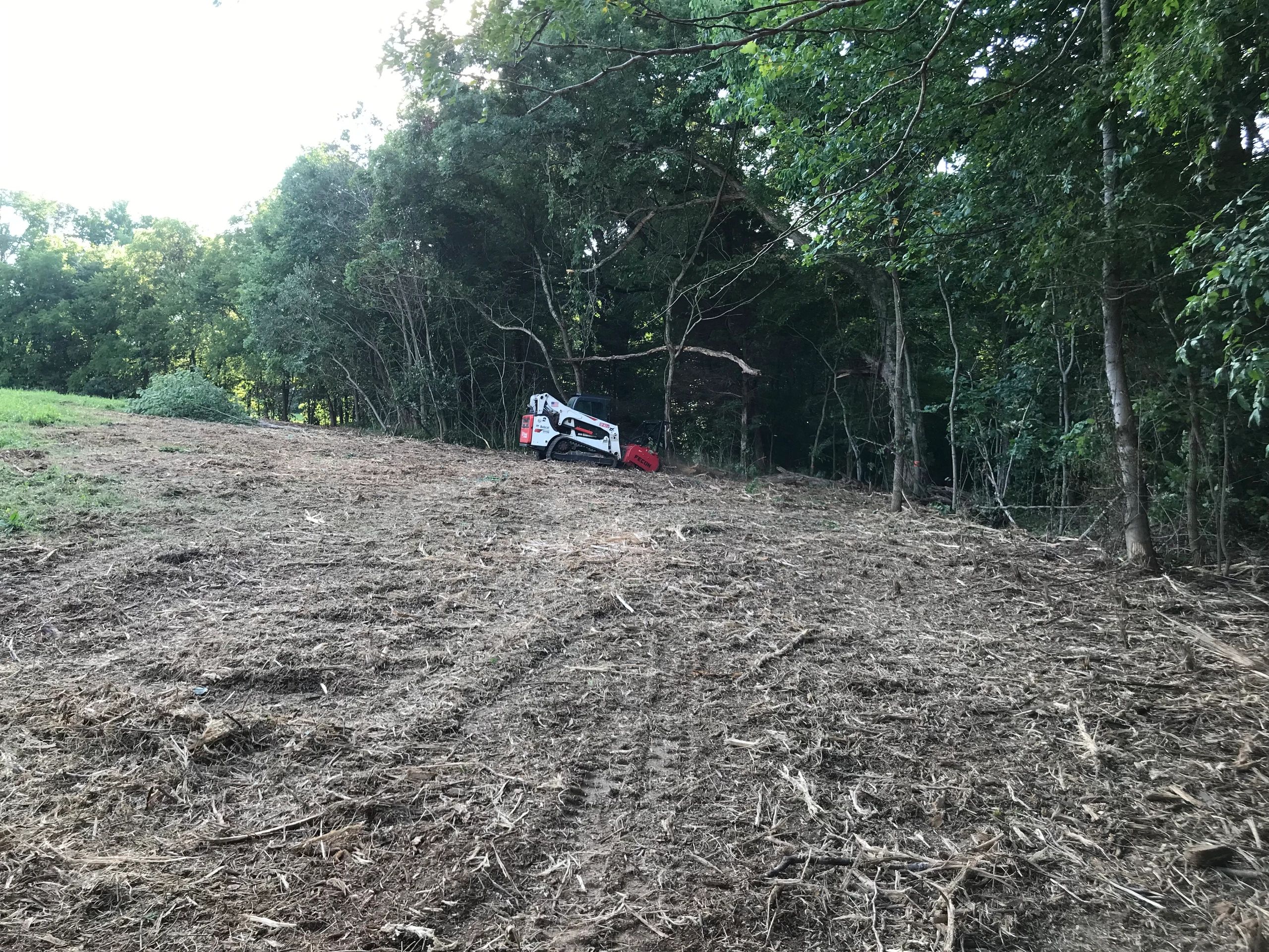 Professional Land Clearing and Mulching Services | Brushbusters Land ...