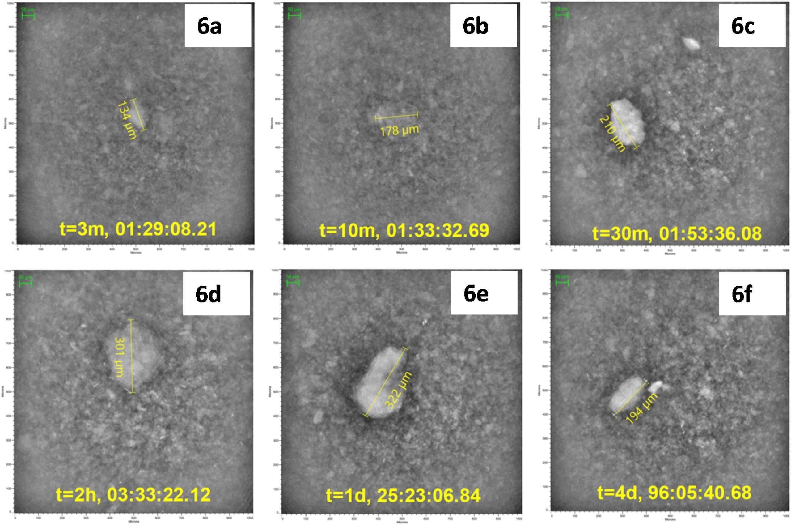 Building understanding of the mechanism of adjuvants in vaccines