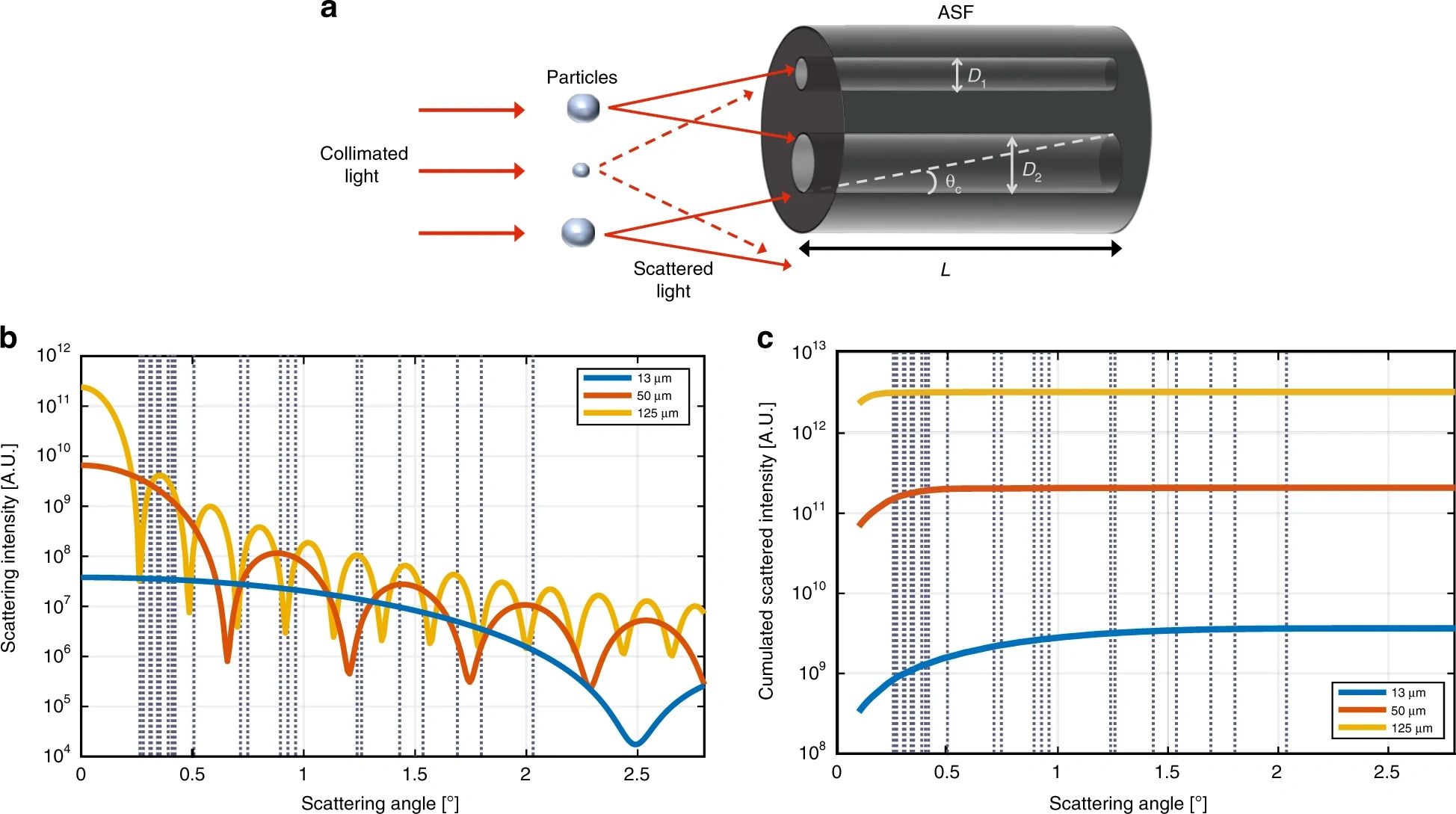 Compact particle size measurement