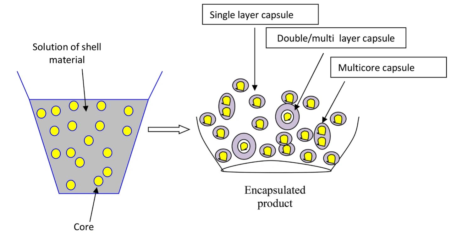 Microencapsulation in the food industry