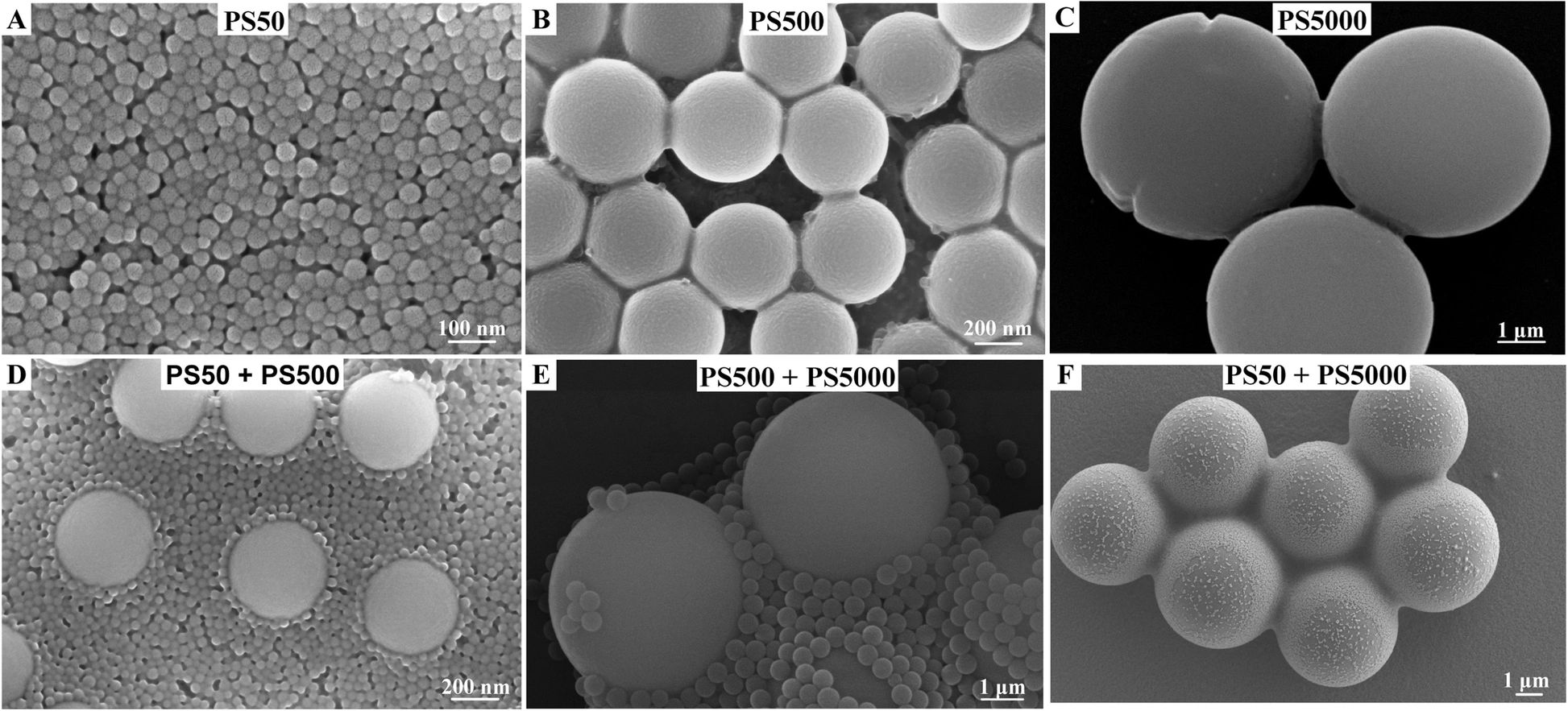 Microplastic toxicity of a combination of particle sizes