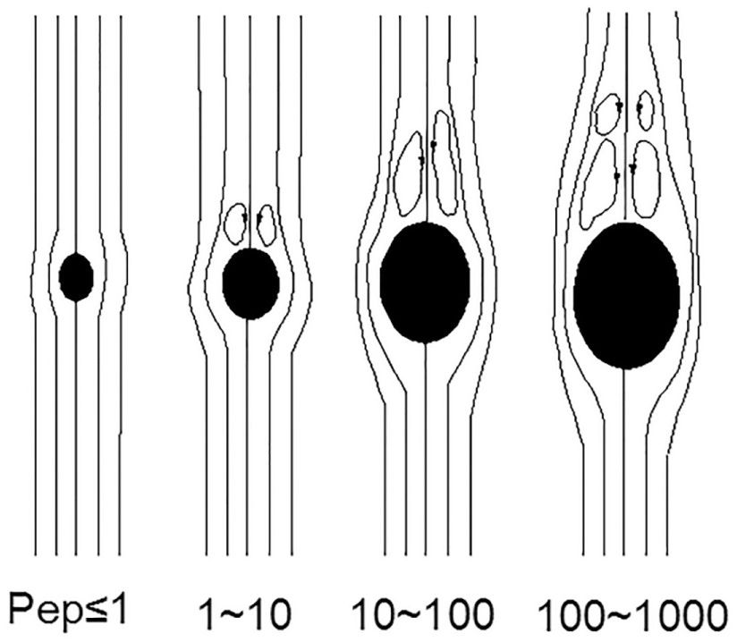 Upward particle flow in vertical pipes