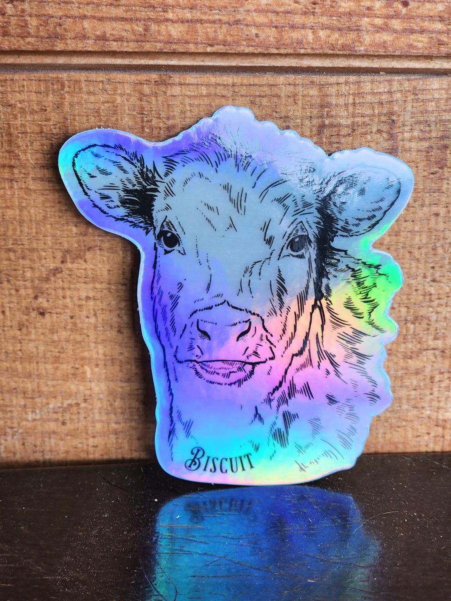 Holographic Stickers