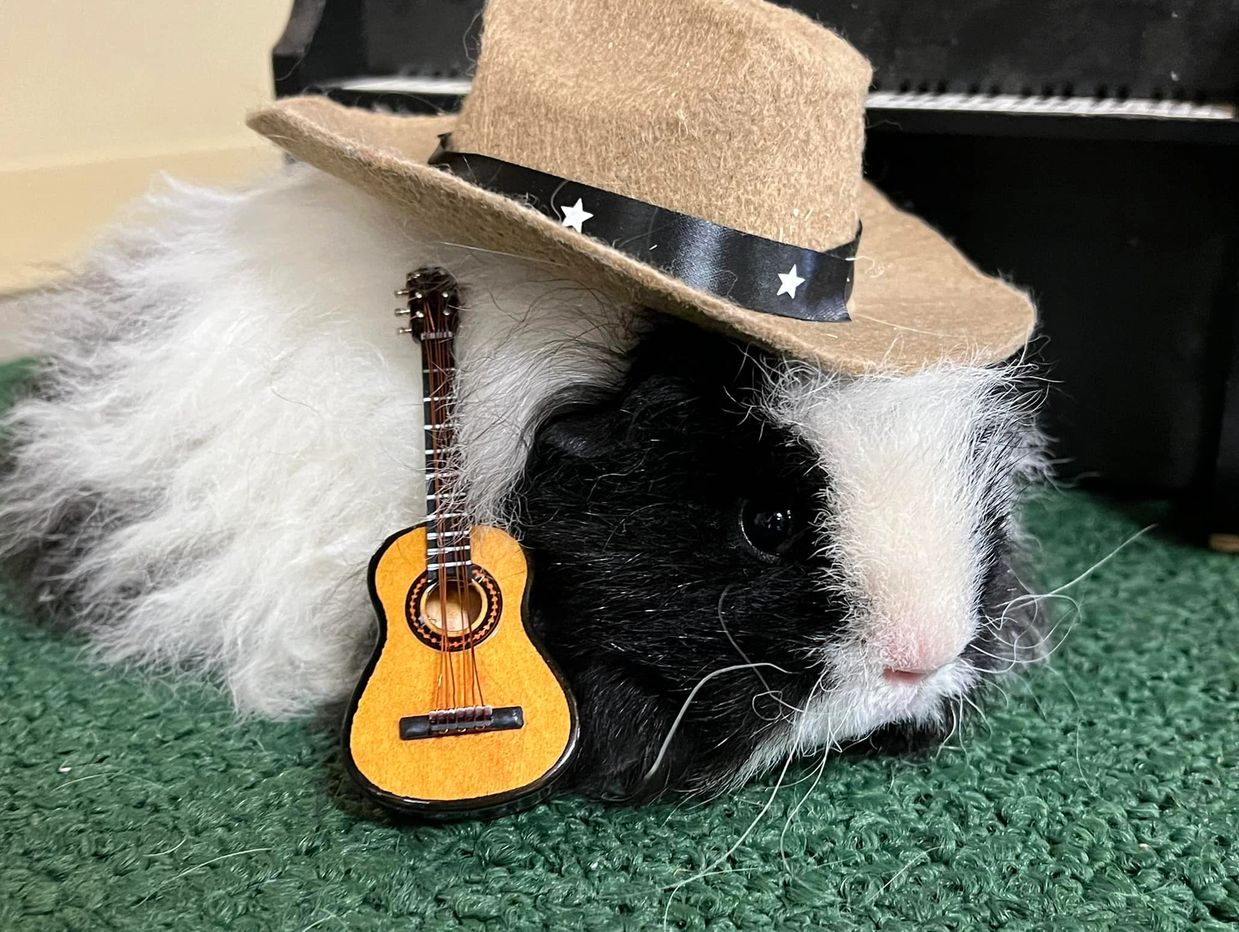 About | Furry Scaly Friends