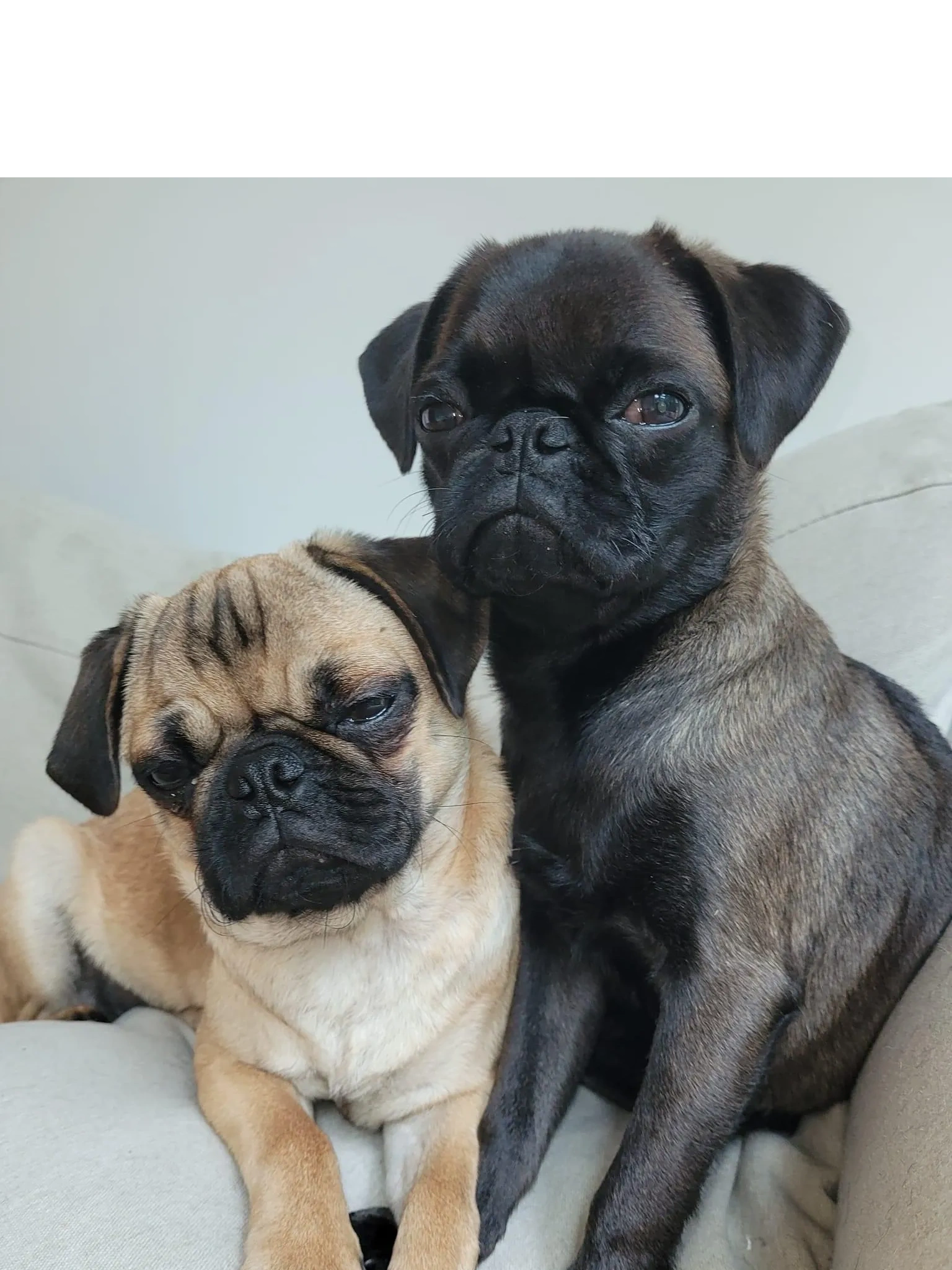 Our Family