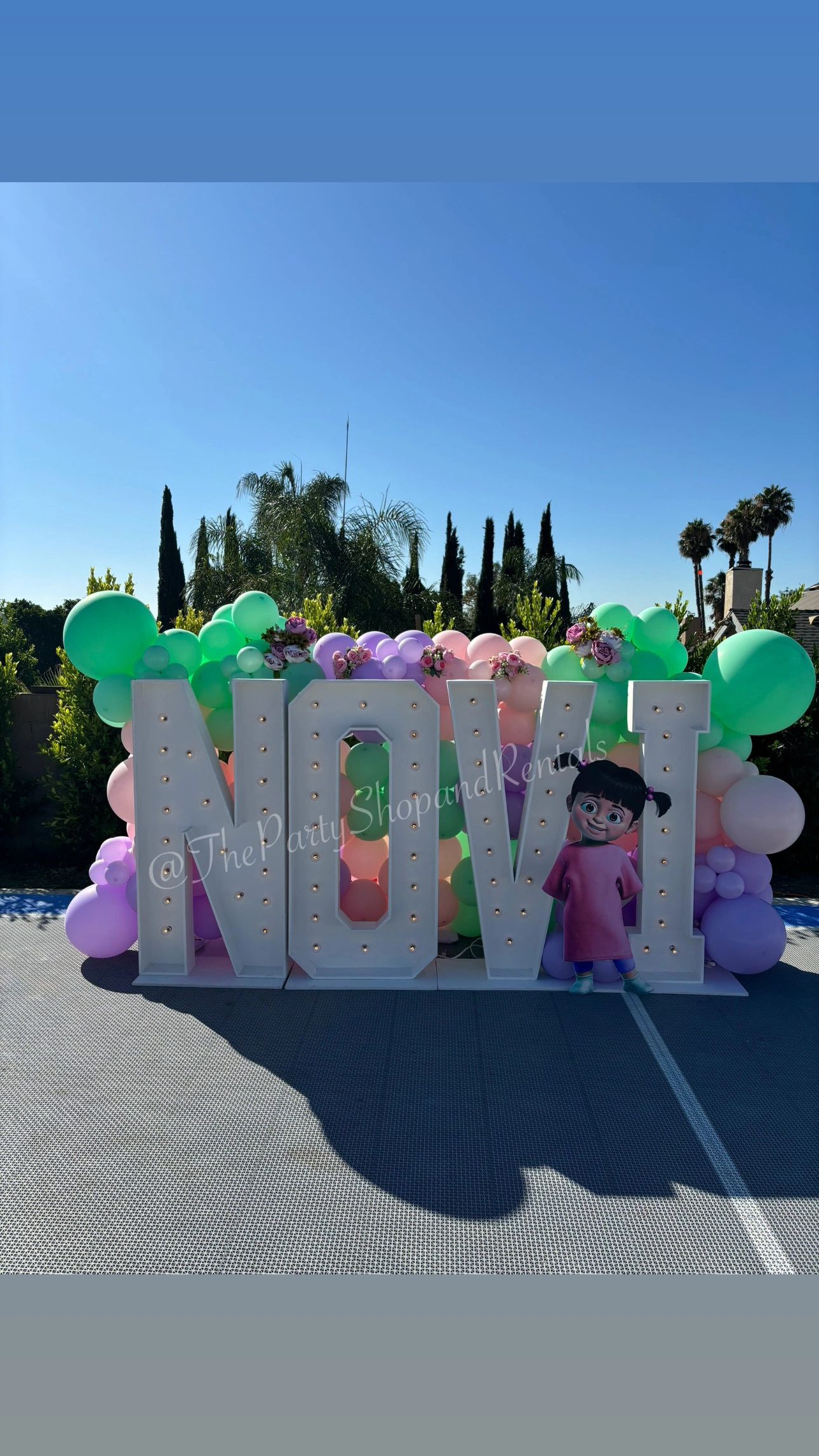 Party Rentals - The Party Shop and Rentals