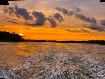 Pontiki Myrtle Beach - Home