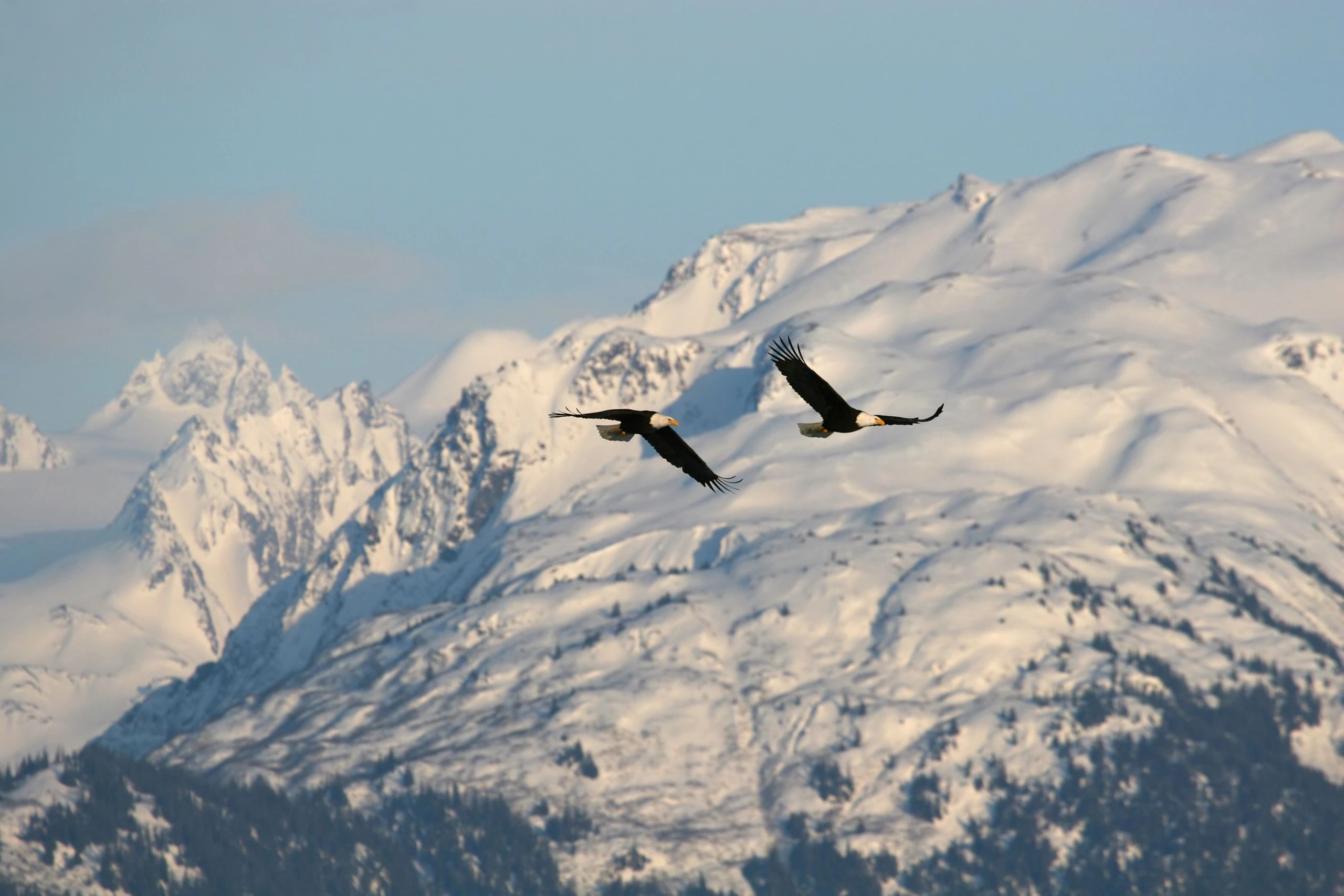 Aurelius Equity Advisors - Leadership, About Us