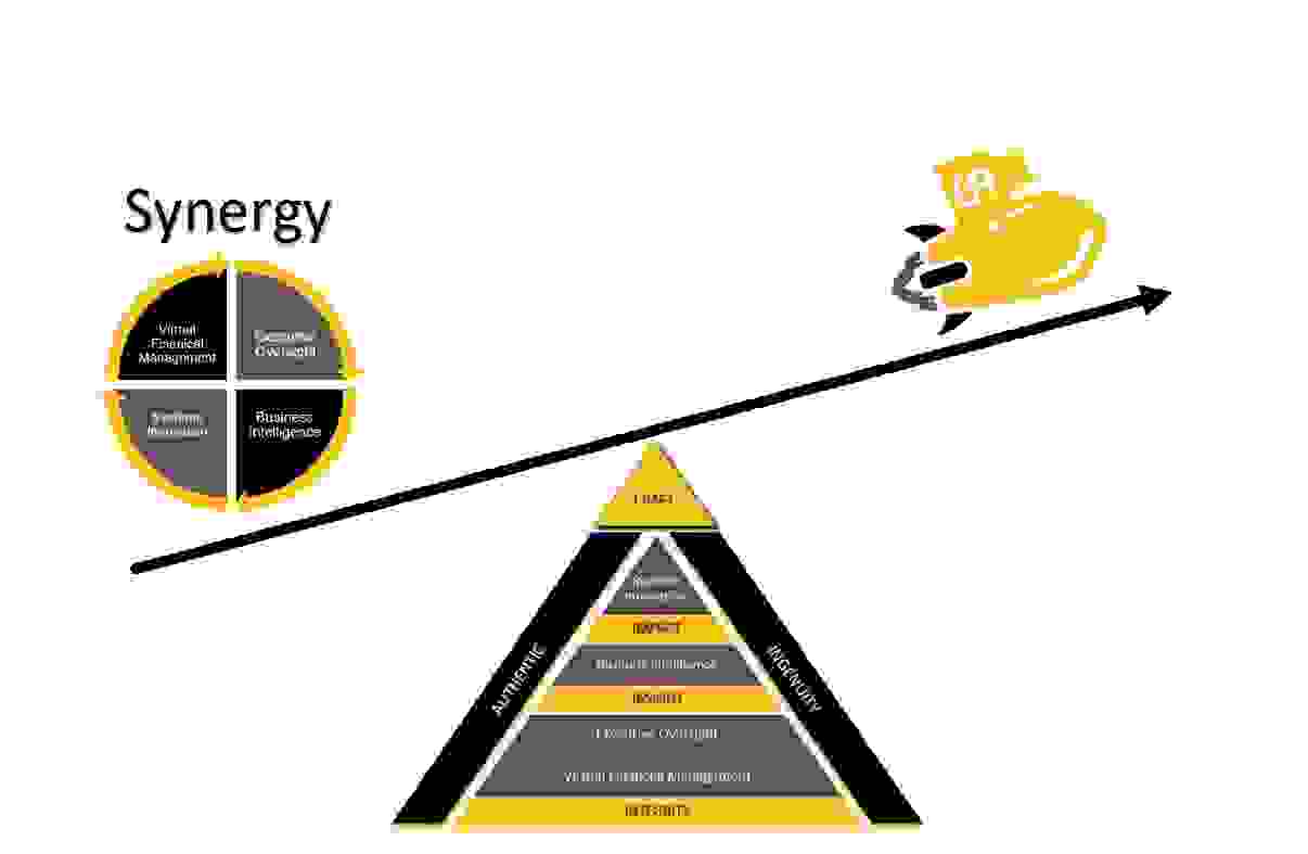 The Power of Synergy | Integrus Management Corporation