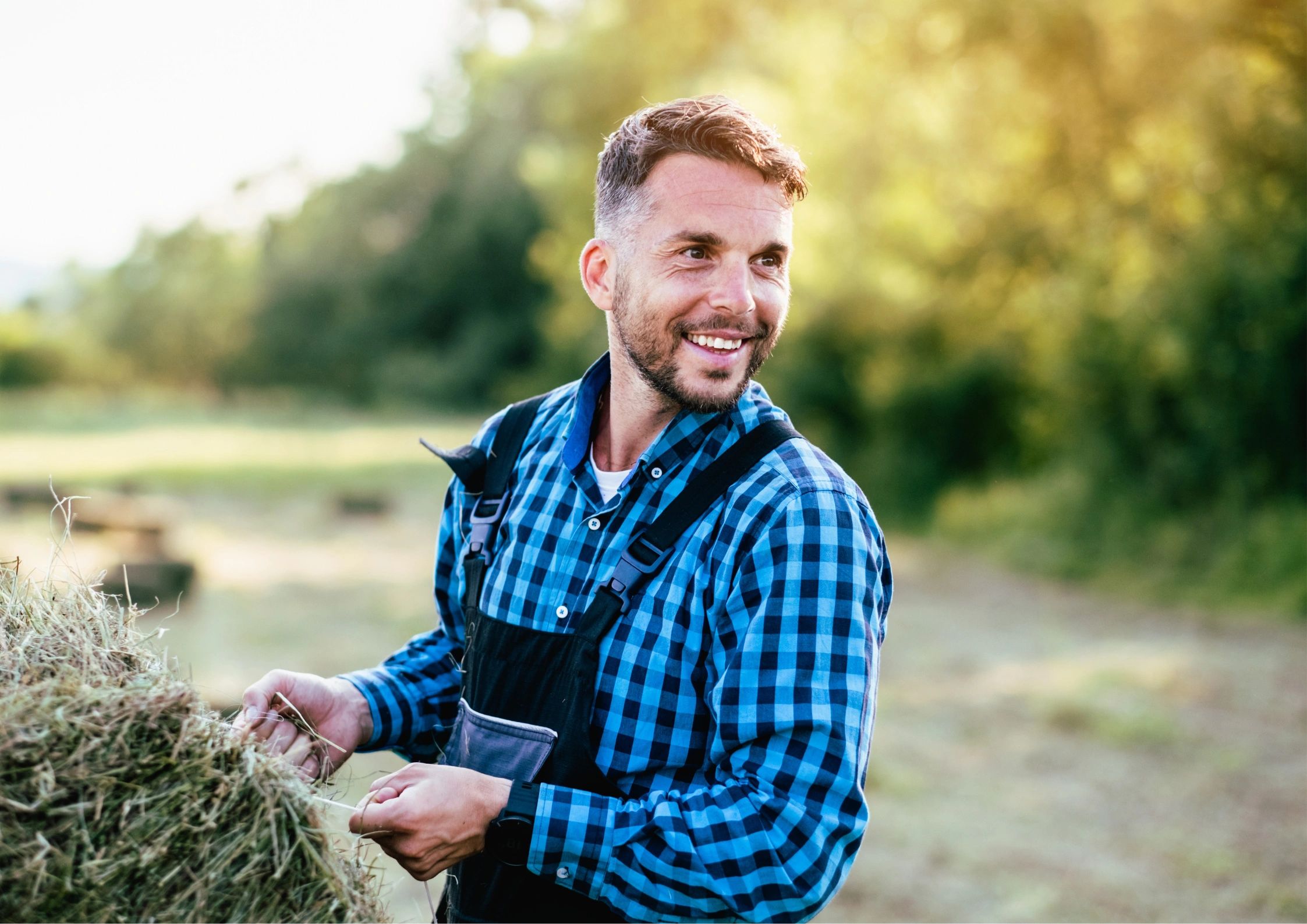 The History of Wild Hay Making in Switzerland