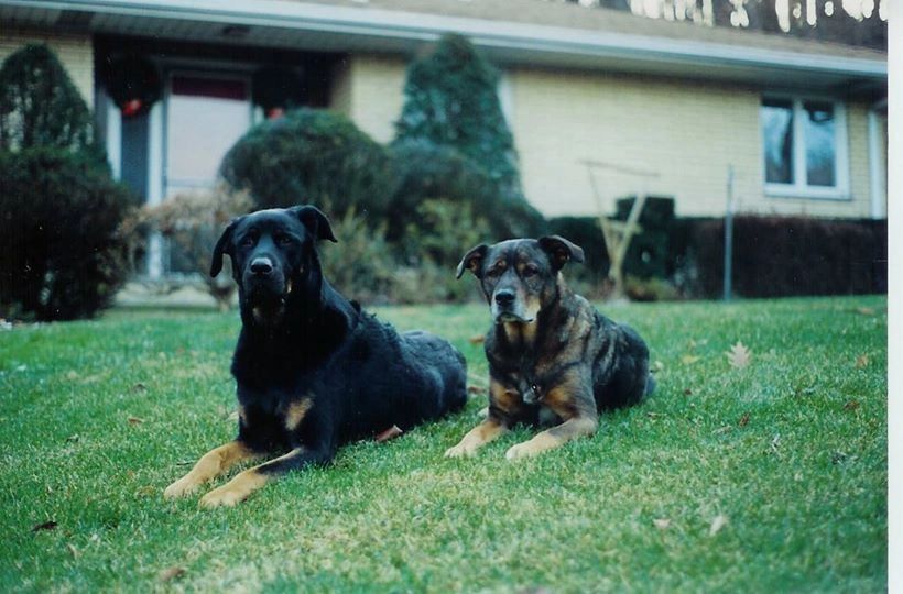 Henry and Fred