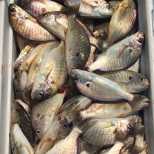 L.J.K. Outdoors, LLC. - Fishing Charters, Headboat