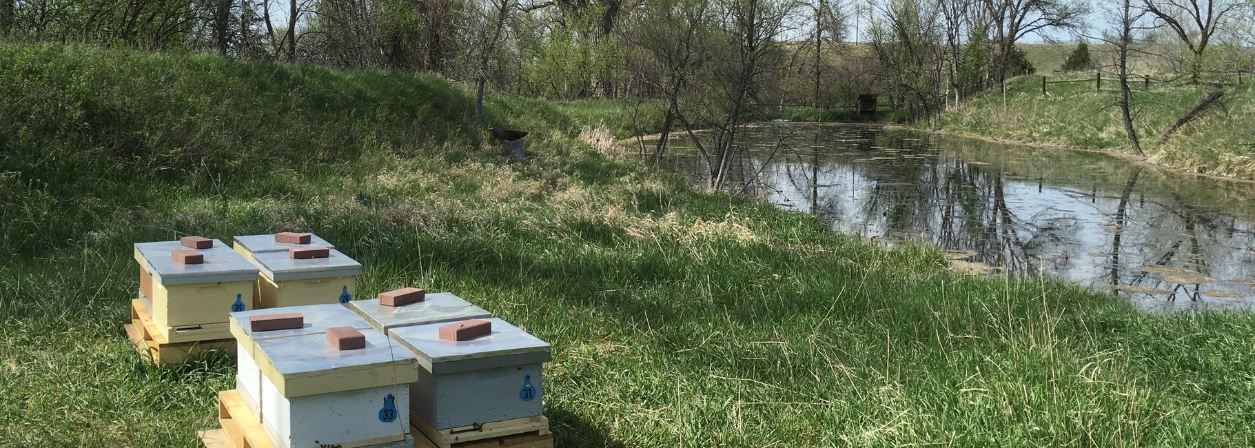 About | Pine Ridge Apiaries