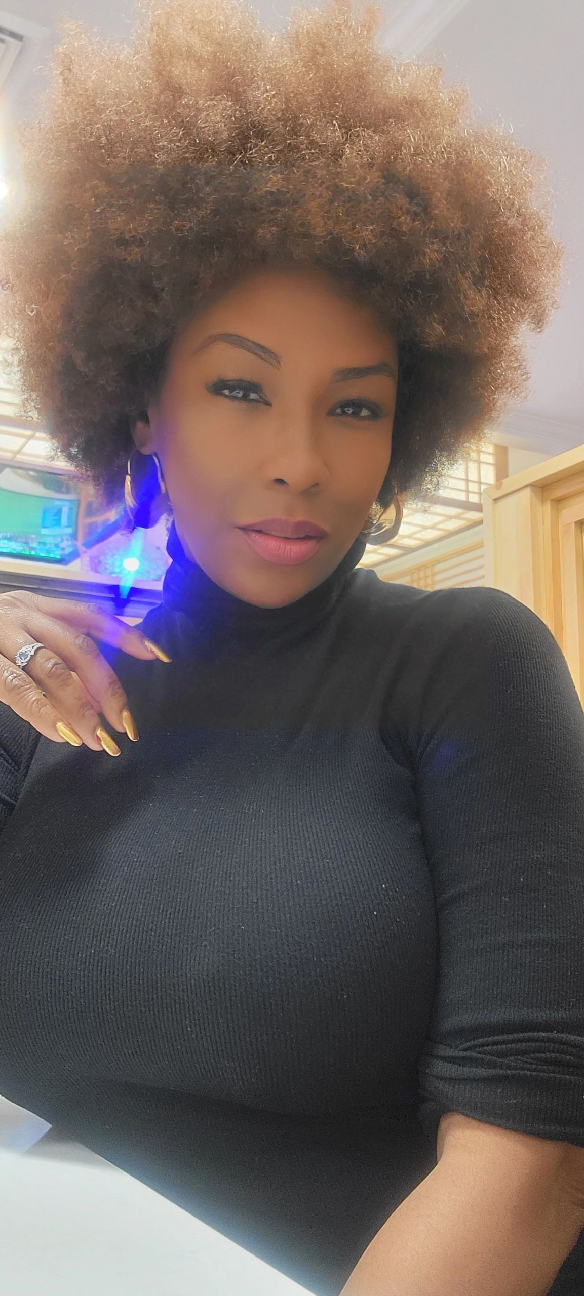 Kinetic Art Works by Renee Ford