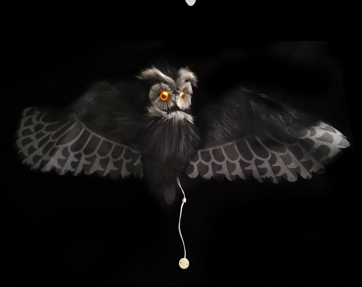 Battery operated Animated Black Owl 87cm moving head flapping wings and ...