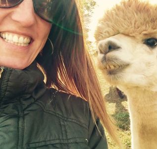 Wise Productions LLC