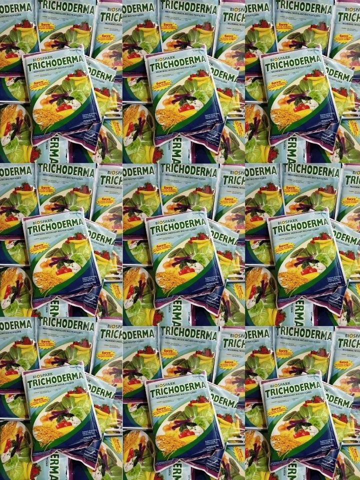 BIOSPARK CORPORATION - Home