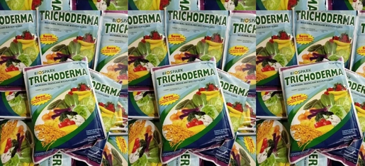 BIOSPARK CORPORATION - Home