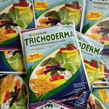 BIOSPARK CORPORATION - Home