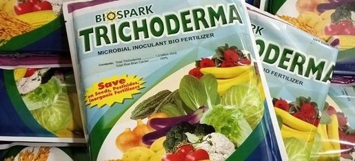 BIOSPARK CORPORATION - Home