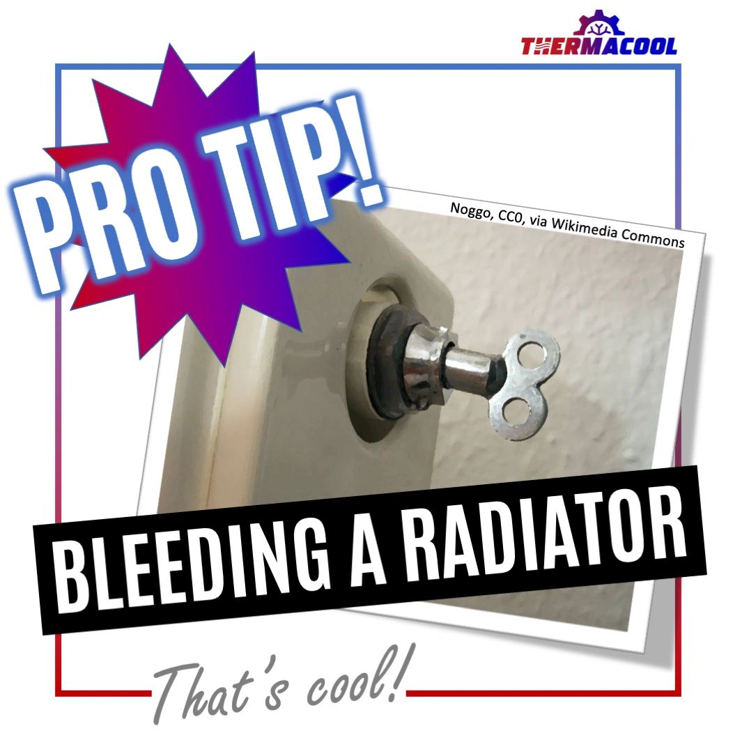 PRO TIP: Bleeding a Radiator