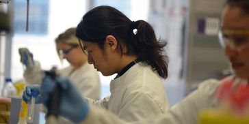 Castello lab - RNA-binding proteins in virus infection