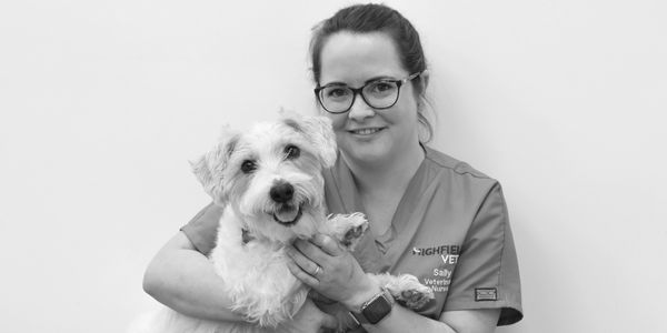 Team, Who We Are - Highfields Vets - Derby, England