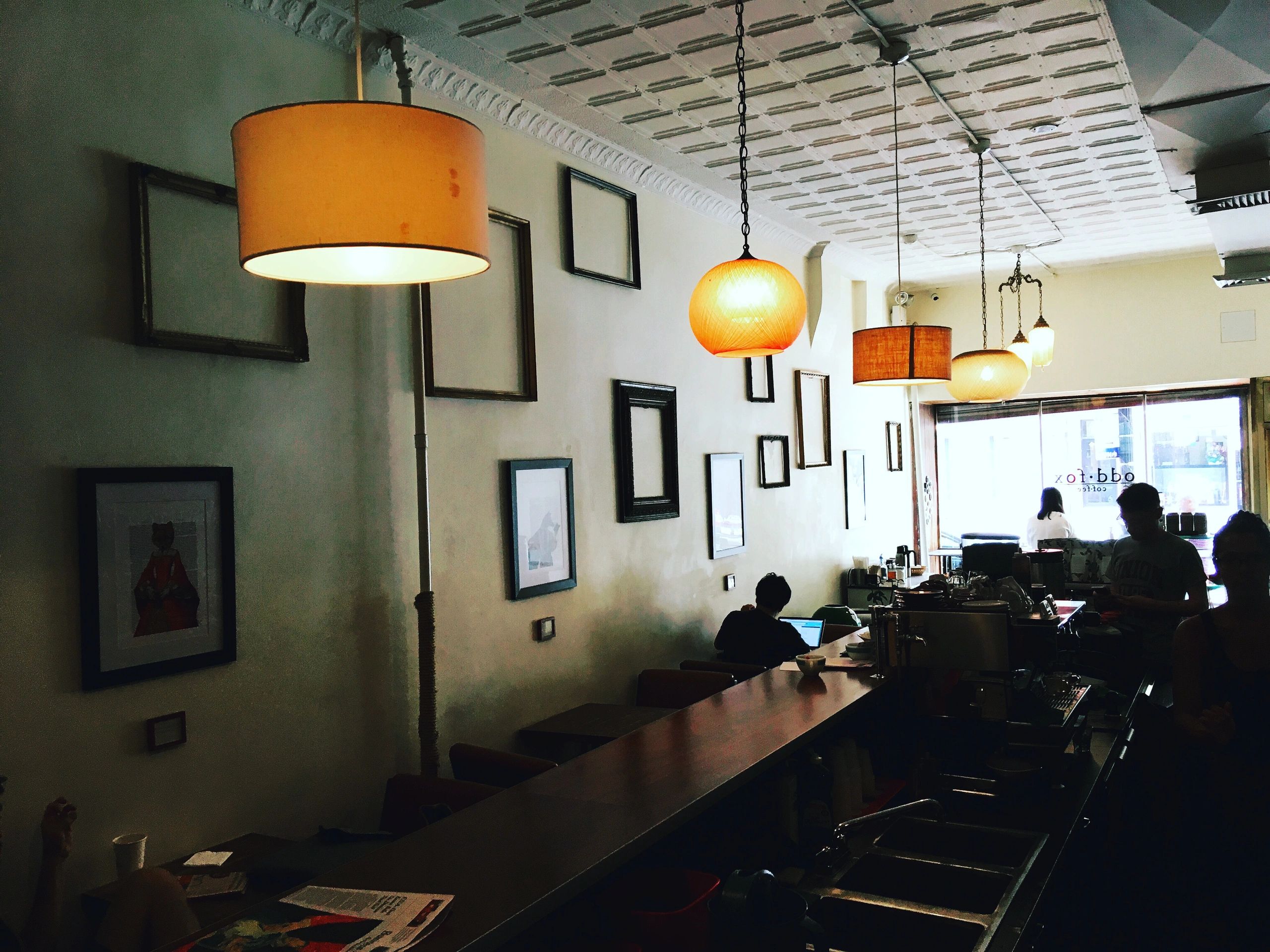 Odd Fox Coffee | odd fox coffee