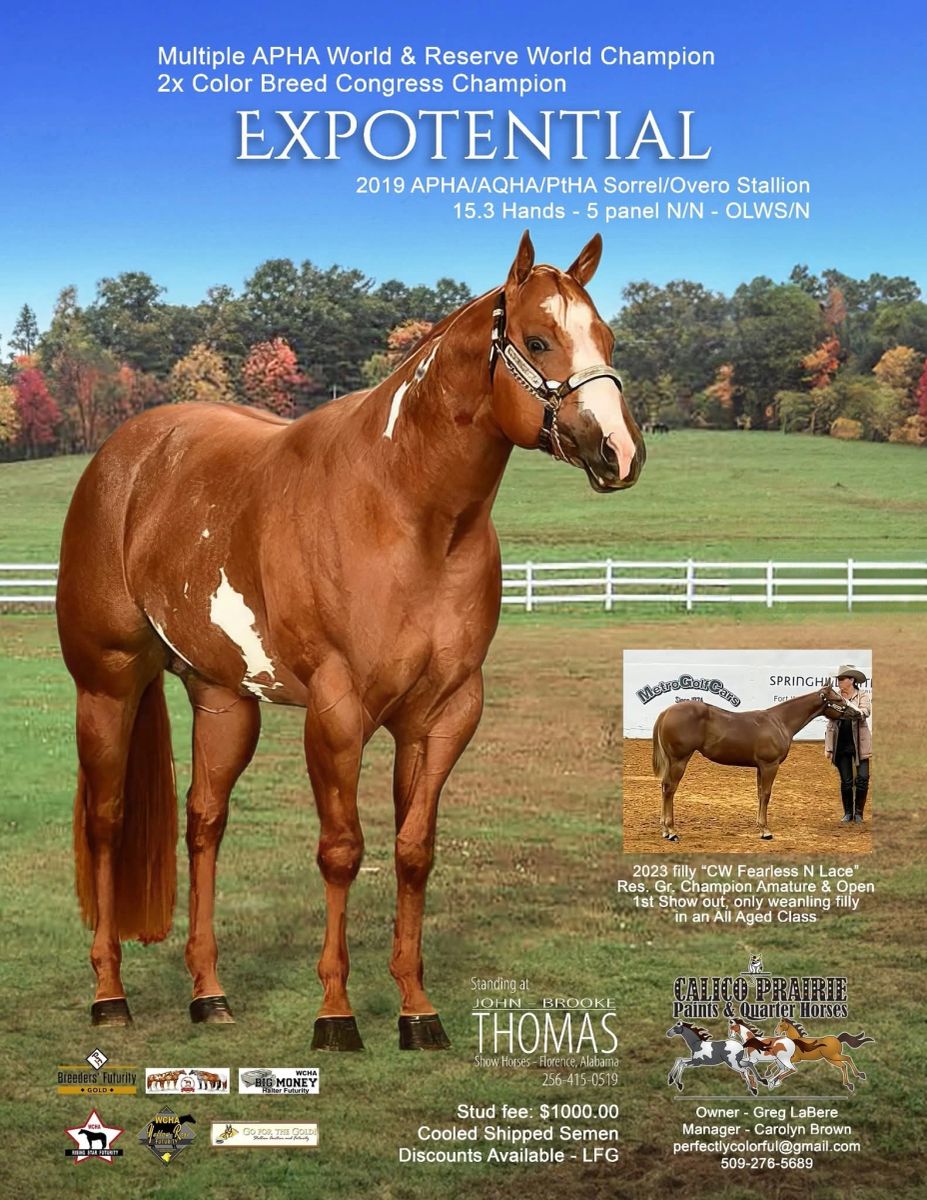 Expotential