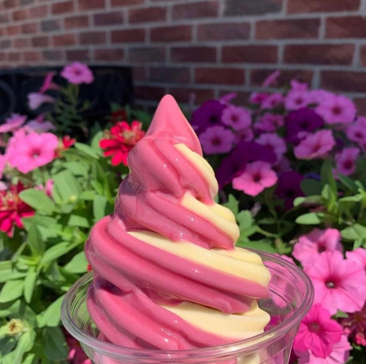 KC Whip and Company - Home