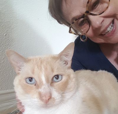 About Us | Inner Loop Pet Sitting | Houston TX