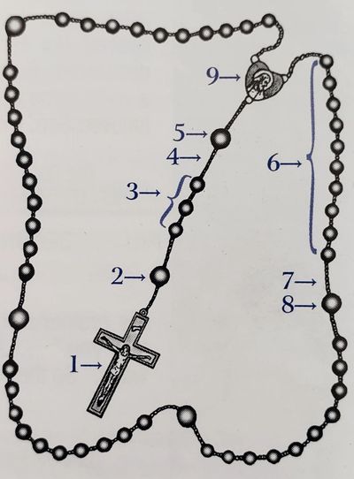 Walking with Mary - How to Pray the Rosary | Walking with Mary