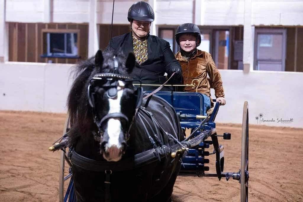 Gypsy Vanners - Gypsy Genetics