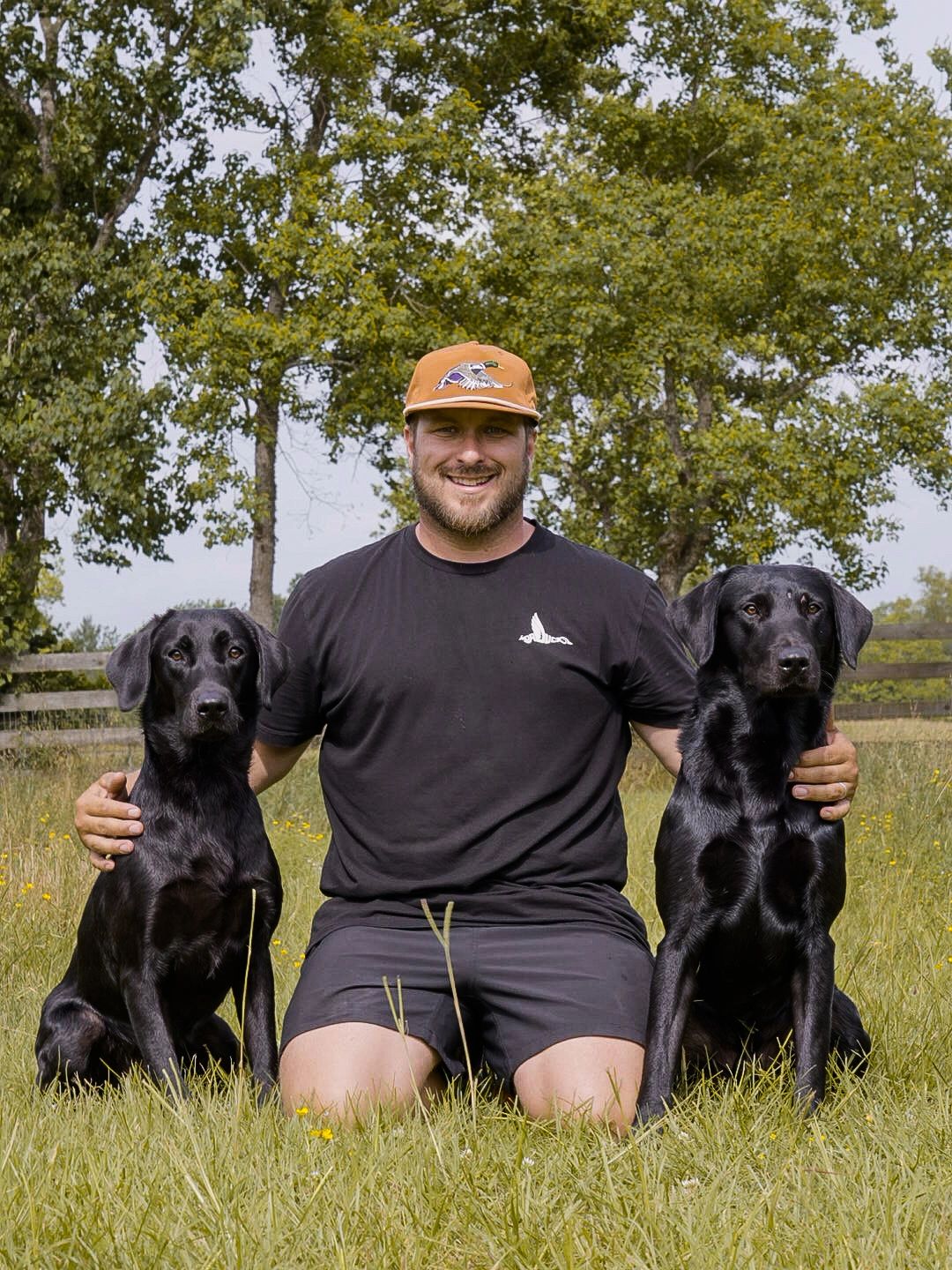 Blazing Gun Dogs - Gun Dogs, Hunting Dogs, Dogs for Sale